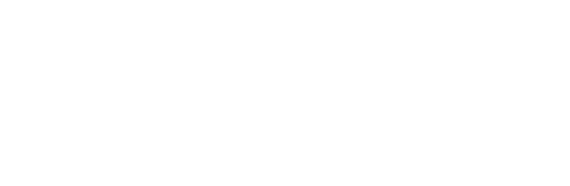 Bridge Brands Logo – The Bridge Brands